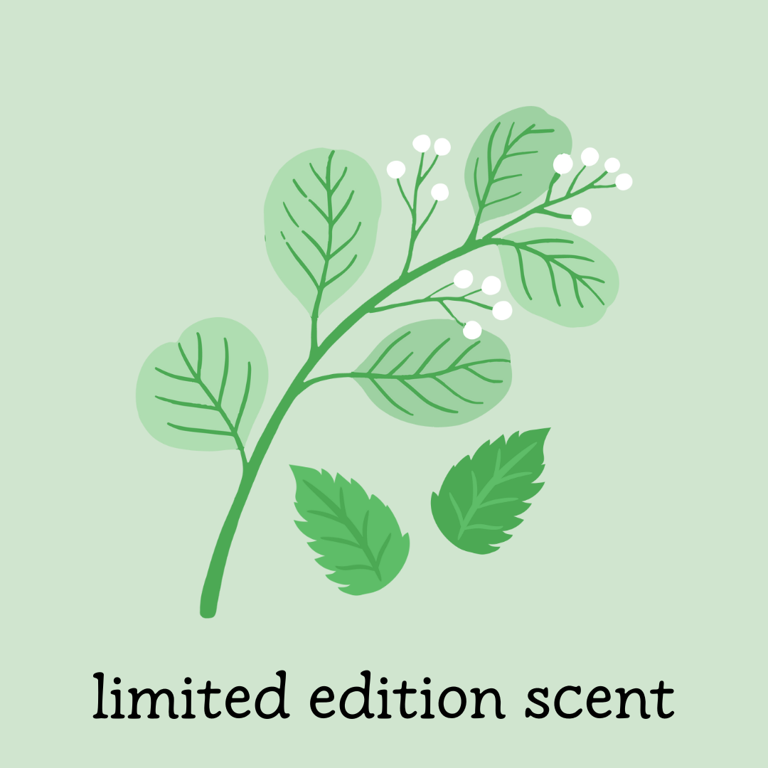 Enlighten-mint – Sun Kissed & Co.