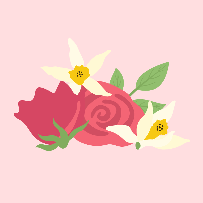 Rose & Conquer – Sun Kissed & Co.